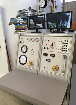Professional Equine Hyperbaric Oxygen Therapy Chambers - Hyperbaric Store